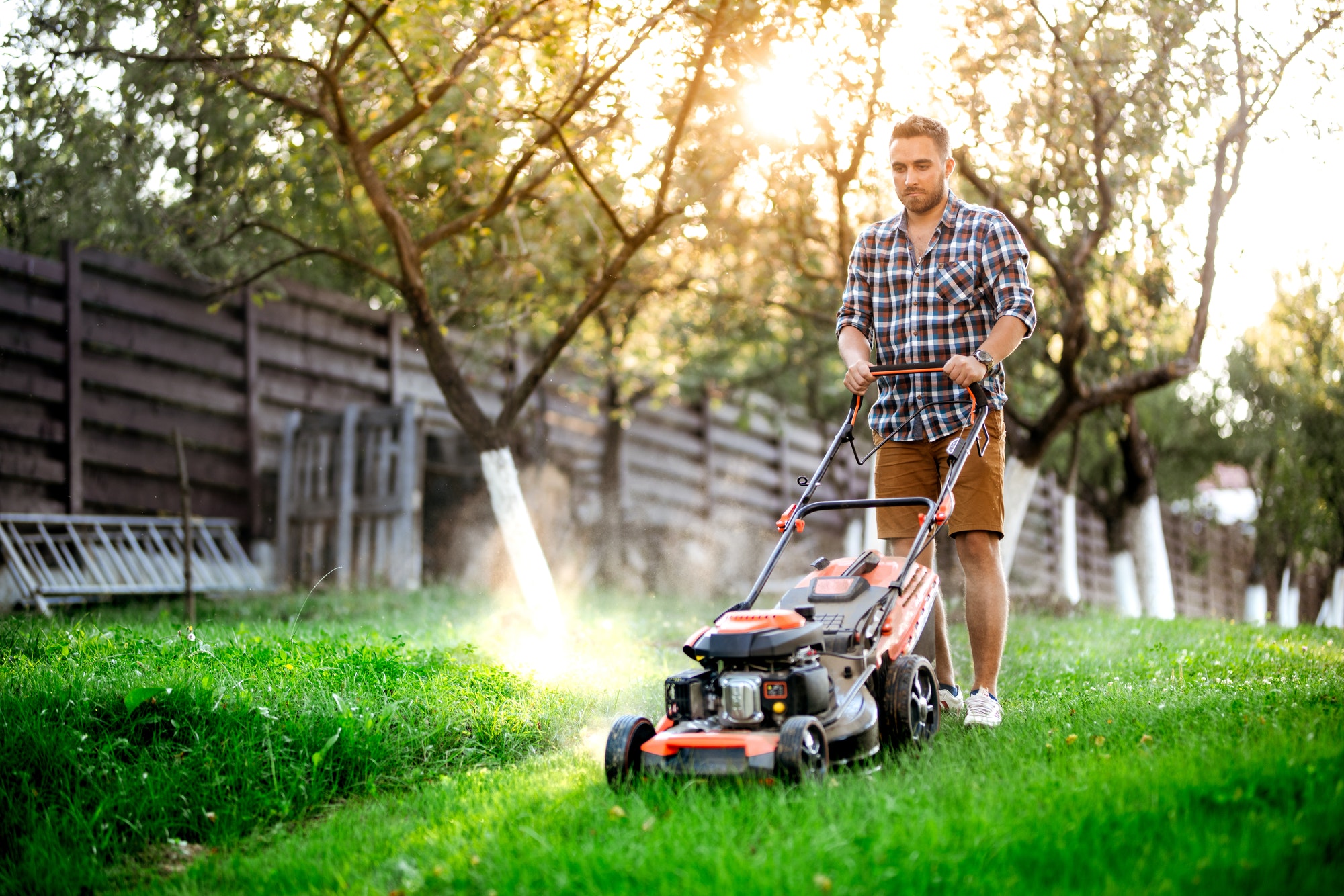 Springtime Yardwork: Tips for Keeping Your Back Healthy - Ward ...